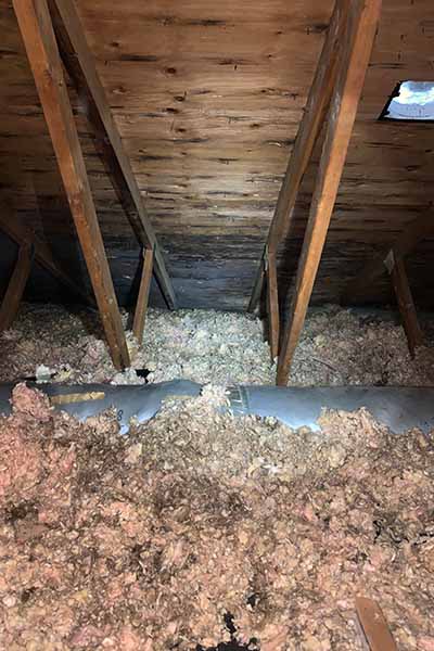 Attic Inspection - Home Inspections